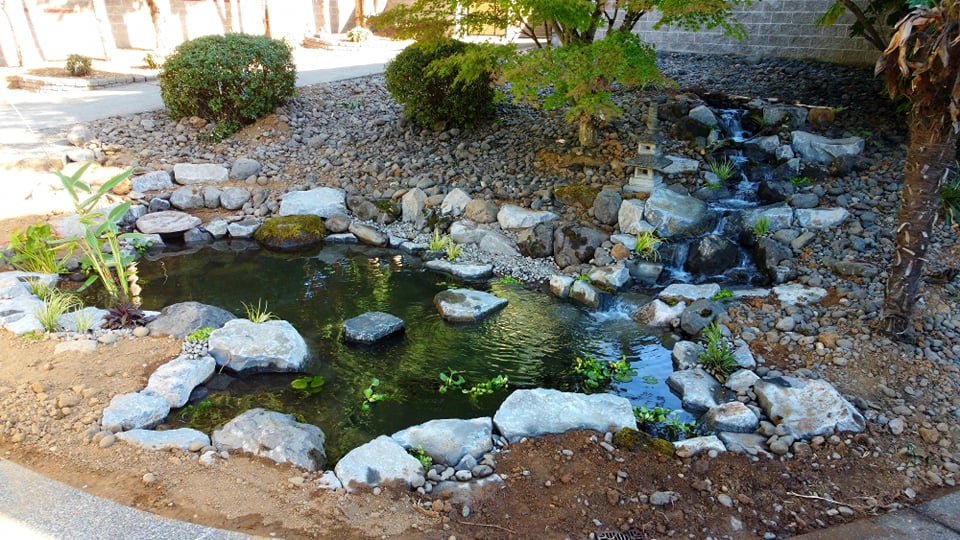 Planning To Install A Pond? You Should Consider Ecosystem Pond ...