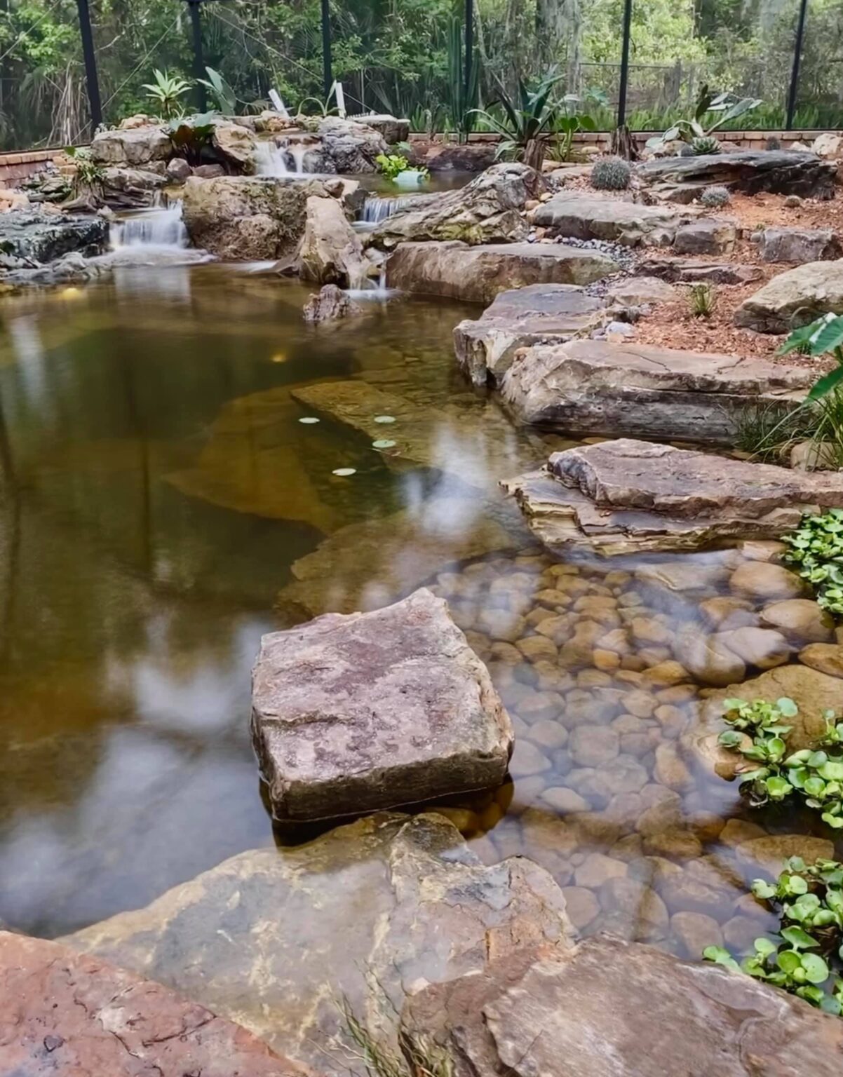 Seeds of Nature Watergardens | Expert Pond Contractor in Southern ...